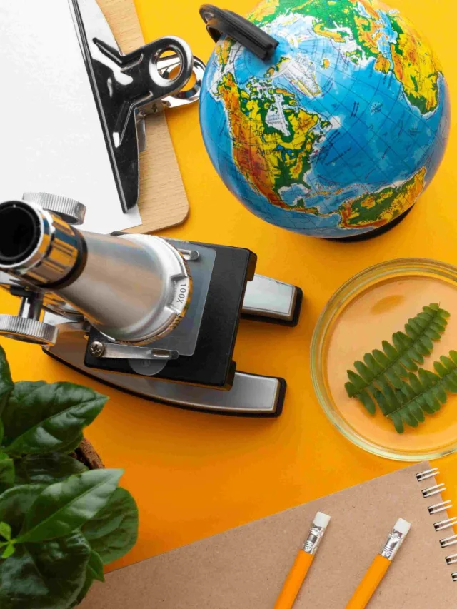 Current Story Update 2nd April 2024 - STUDY SSC